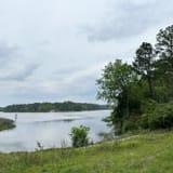 Chinquapin Loop Trail, Texas - 2,467 Reviews, Map | AllTrails
