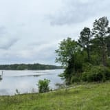 Chinquapin Loop Trail, Texas - 2,467 Reviews, Map | AllTrails