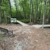 Chinquapin Loop Trail, Texas - 2,467 Reviews, Map | AllTrails