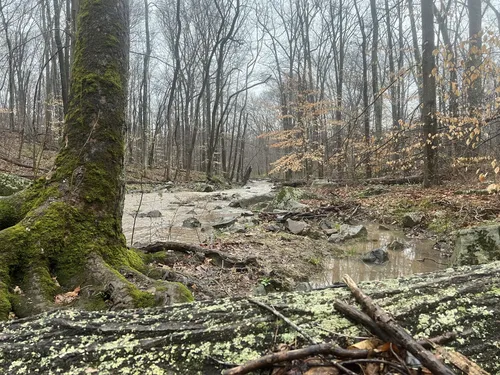 Best Hikes and Trails in Monocacy River Natural Resource Management ...