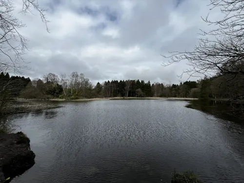 Best Hikes and Trails in Donadea Forest Park | AllTrails