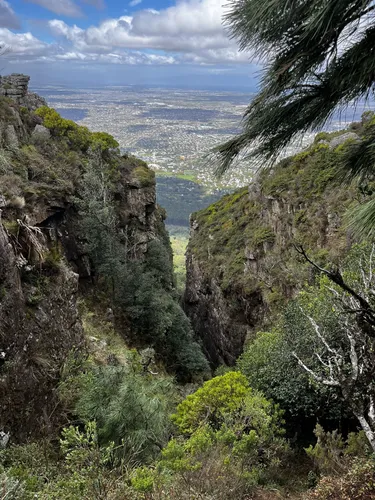 Best Hikes and Trails in Newlands Forest | AllTrails