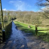 Linacre Reservoirs Circular, Derbyshire, England - 310 Reviews, Map ...