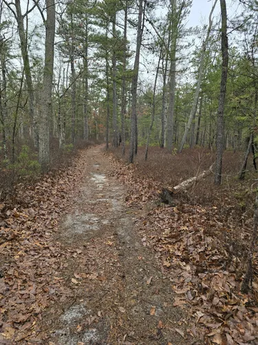 Best Walking Trails in Jackson Township | AllTrails