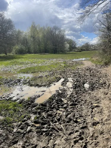 Best River Trails in Epping Forest | AllTrails