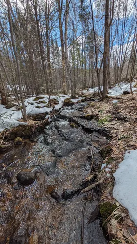 Best Hikes and Trails in Montagnes Noires de Ripon Park | AllTrails