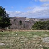 Black Ridge Trail, Virginia - 614 Reviews, Map | AllTrails