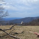 Black Ridge Trail, Virginia - 614 Reviews, Map | AllTrails