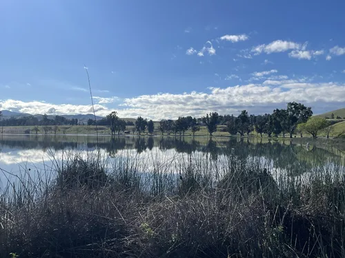 Best Hikes and Trails in Kern County Park | AllTrails