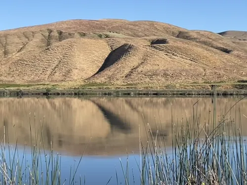 Best Hikes and Trails in Kern County Park | AllTrails