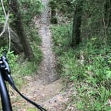 Comite Park Loop, Louisiana - 913 Reviews, Map | AllTrails