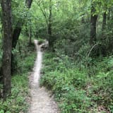Comite Park Loop, Louisiana - 913 Reviews, Map | AllTrails