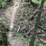 Comite Park Loop, Louisiana - 913 Reviews, Map | AllTrails