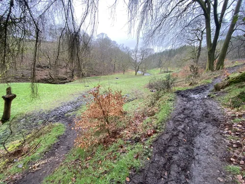 Best Camping Trails in Gradbach | AllTrails