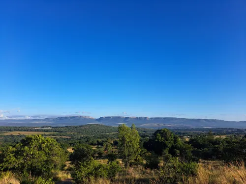 Best Forest Trails in Mogale City NU | AllTrails