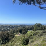 Inspiration Point Loop, California - 4,147 Reviews, Map | AllTrails