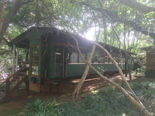 Best Forest Trails in Mogale City NU | AllTrails