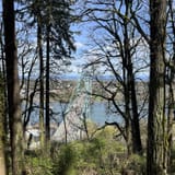 Forest Park Ridge Trail, Oregon - 1,278 Reviews, Map | AllTrails