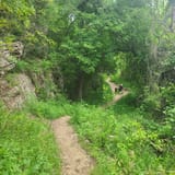 Pickett Trail, Texas - 656 Reviews, Map | AllTrails