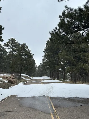 Best Forest Trails in Genesee Park | AllTrails