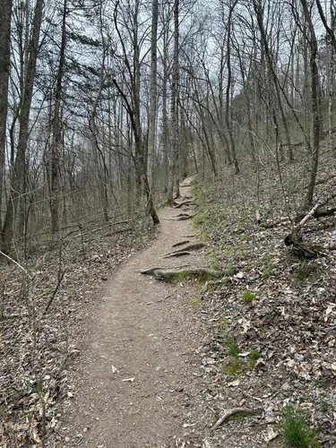Best Hikes and Trails in Beaman Park | AllTrails