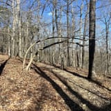 Bashore Ridge Loop Trail, Arkansas - 1,063 Reviews, Map | AllTrails