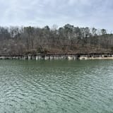 Bashore Ridge Loop Trail, Arkansas - 1,063 Reviews, Map | AllTrails