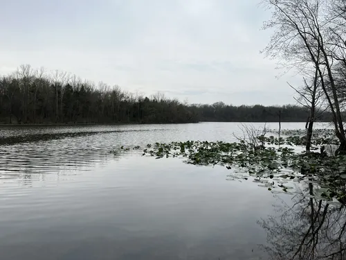 Best Hikes and Trails in Perry County Community Lake | AllTrails