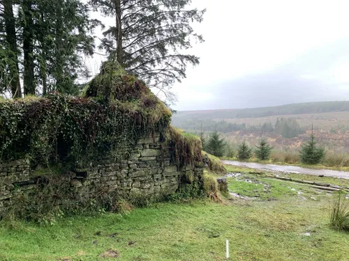 Best Walking Trails in Slieve Bloom Mountains Nature Reserve | AllTrails