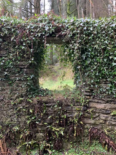 Best Walking Trails in Slieve Bloom Mountains Nature Reserve | AllTrails