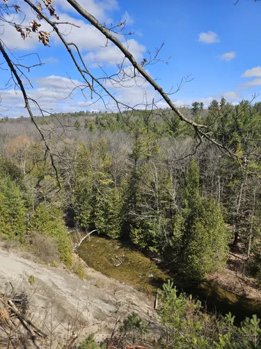 10 Best Short Trails in Simcoe County Forest | AllTrails