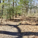 Fort Barton/Sin and Flesh Brook Trail, Rhode Island - 1,302 Reviews ...