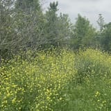 San Gabriel River Trail and Goodwater Loop, Texas - 917 Reviews, Map ...