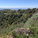 Beaudry Loop, California - 5,014 Reviews, Map | AllTrails
