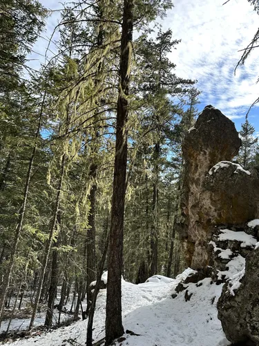 Best Mountain Biking Trails in Fox Mountain | AllTrails