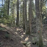 Sumas Mountain Trail, British Columbia, Canada - 550 Reviews, Map ...