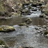 Cornish Estate Trail, New York - 1,640 Reviews, Map | AllTrails