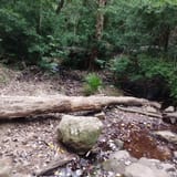 Cecilia Waterfall via Cecilia Forest, Western Cape, South Africa ...