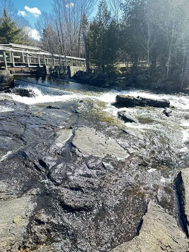 Thomas P. Murray Recreation Area: de beste routes om te wandelen ...