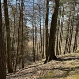 Abraham Lincoln Park White Trail, New York - 1,615 Reviews, Map | AllTrails