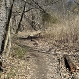 Abraham Lincoln Park White Trail, New York - 1,615 Reviews, Map | AllTrails