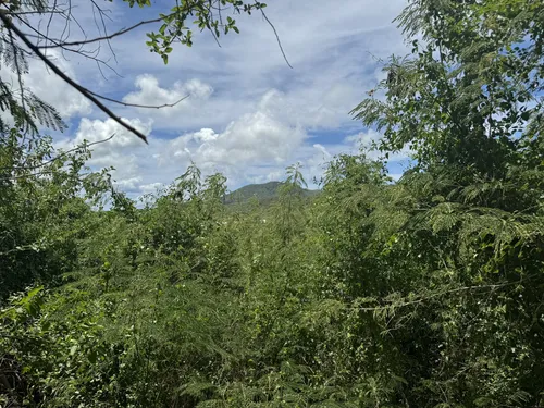 Best Hikes and Trails in Kingshill | AllTrails