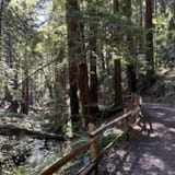 Stream, East Ridge, and Canyon Loop, California - 1,836 Reviews, Map ...