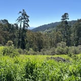 Stream, East Ridge, and Canyon Loop, California - 1,836 Reviews, Map ...