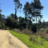 Stream, East Ridge, and Canyon Loop, California - 1,836 Reviews, Map ...