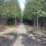 Old Quarry and Stony Swamp Trail Loop, Ontario, Canada - 321 Reviews ...