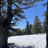 Mount Kit Carson Trail, Washington - 968 Reviews, Map | AllTrails