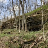 Panther Den Loop, Illinois - 1,007 Reviews, Map | AllTrails
