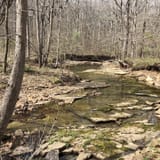 Panther Den Loop, Illinois - 921 Reviews, Map | AllTrails