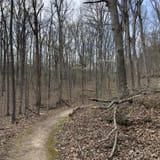 Panther Den Loop, Illinois - 921 Reviews, Map | AllTrails
